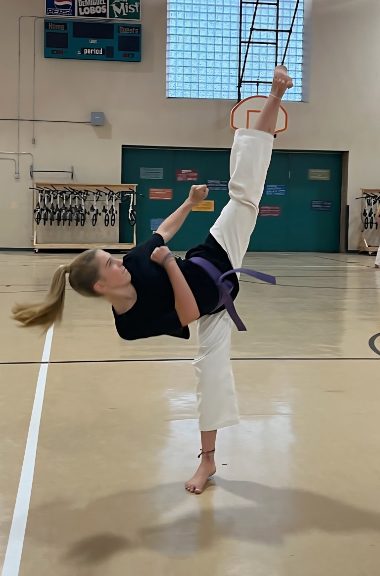What is Chung Do Kwan? – Flagstaff Chung Do Kwan